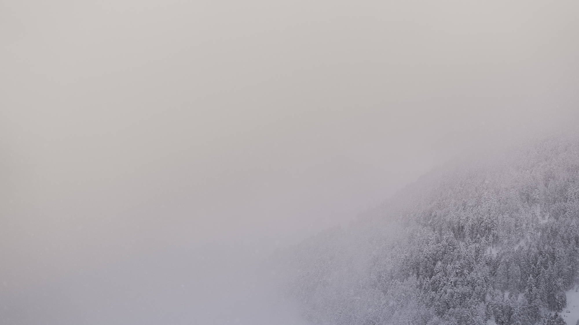 Advent Week Four: Where Love Is Found – Alabaster