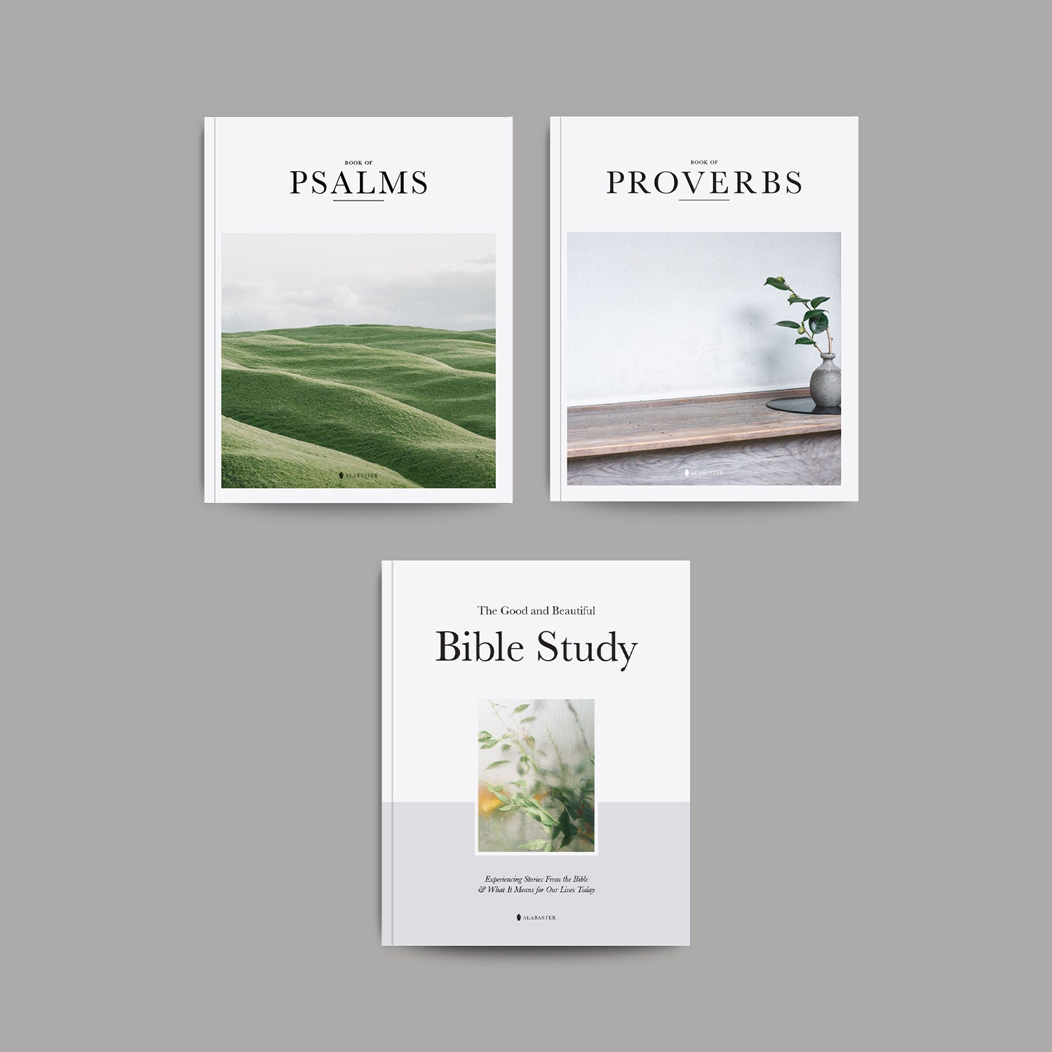 The Study Bundle – Alabaster Co