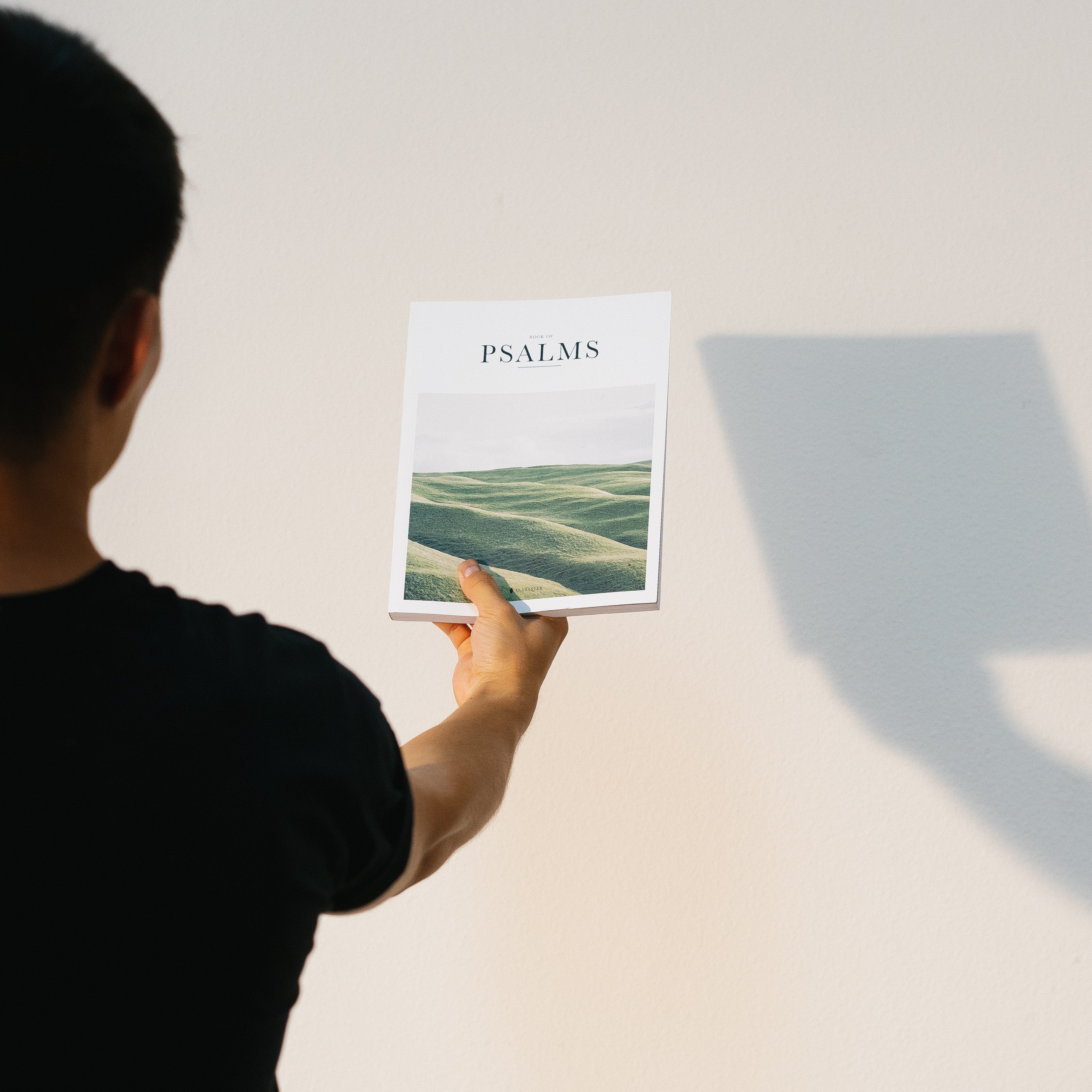 Types of Psalms | Learn the 8 Kinds – Alabaster