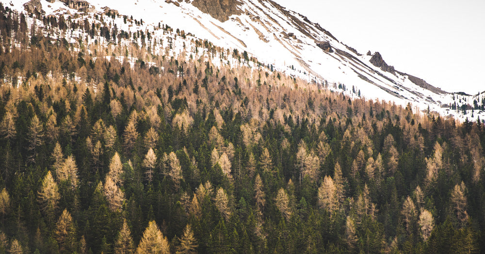 The Book of Philippians Summary – Alabaster