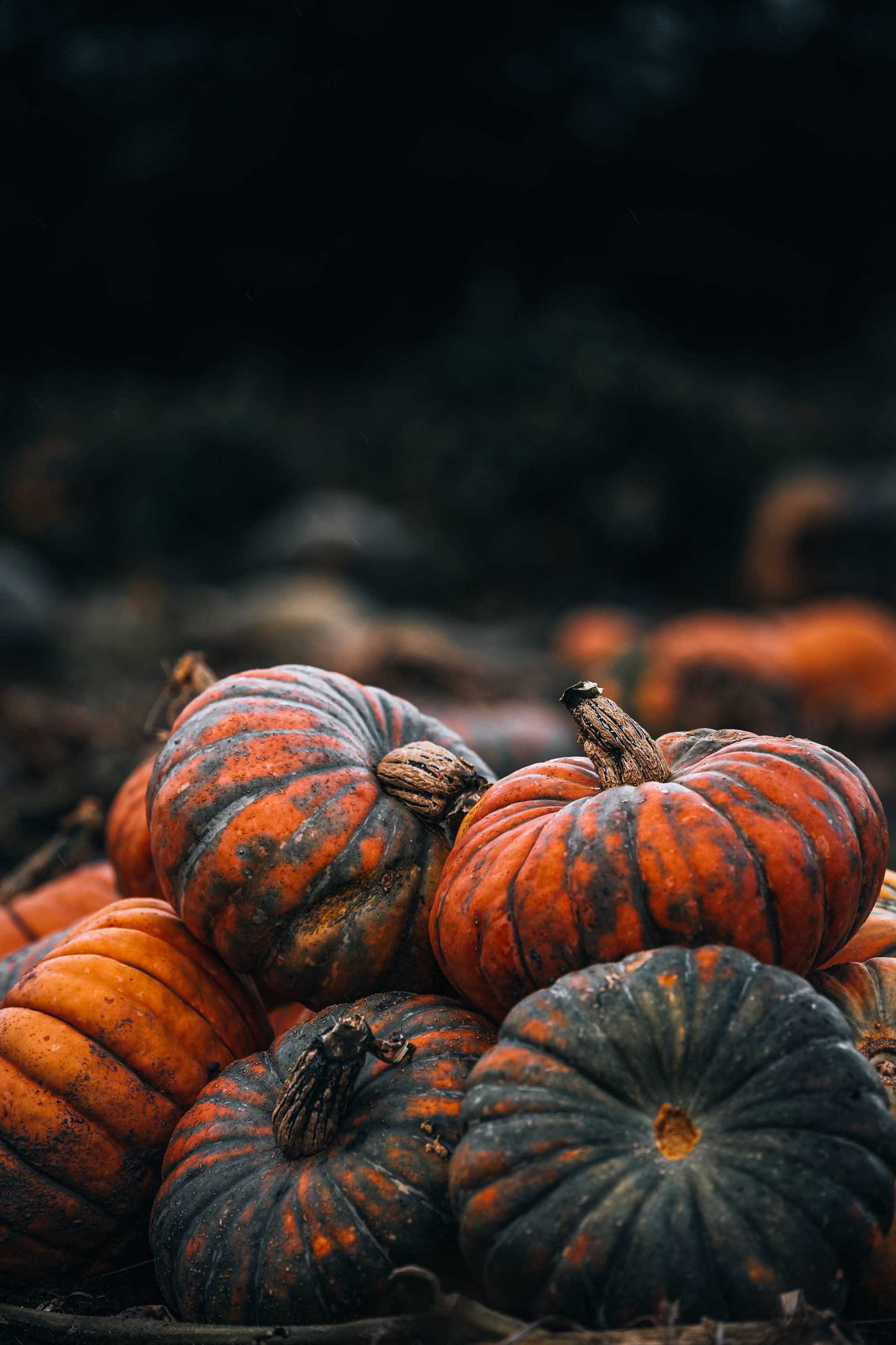 Practicing Patience – Alabaster