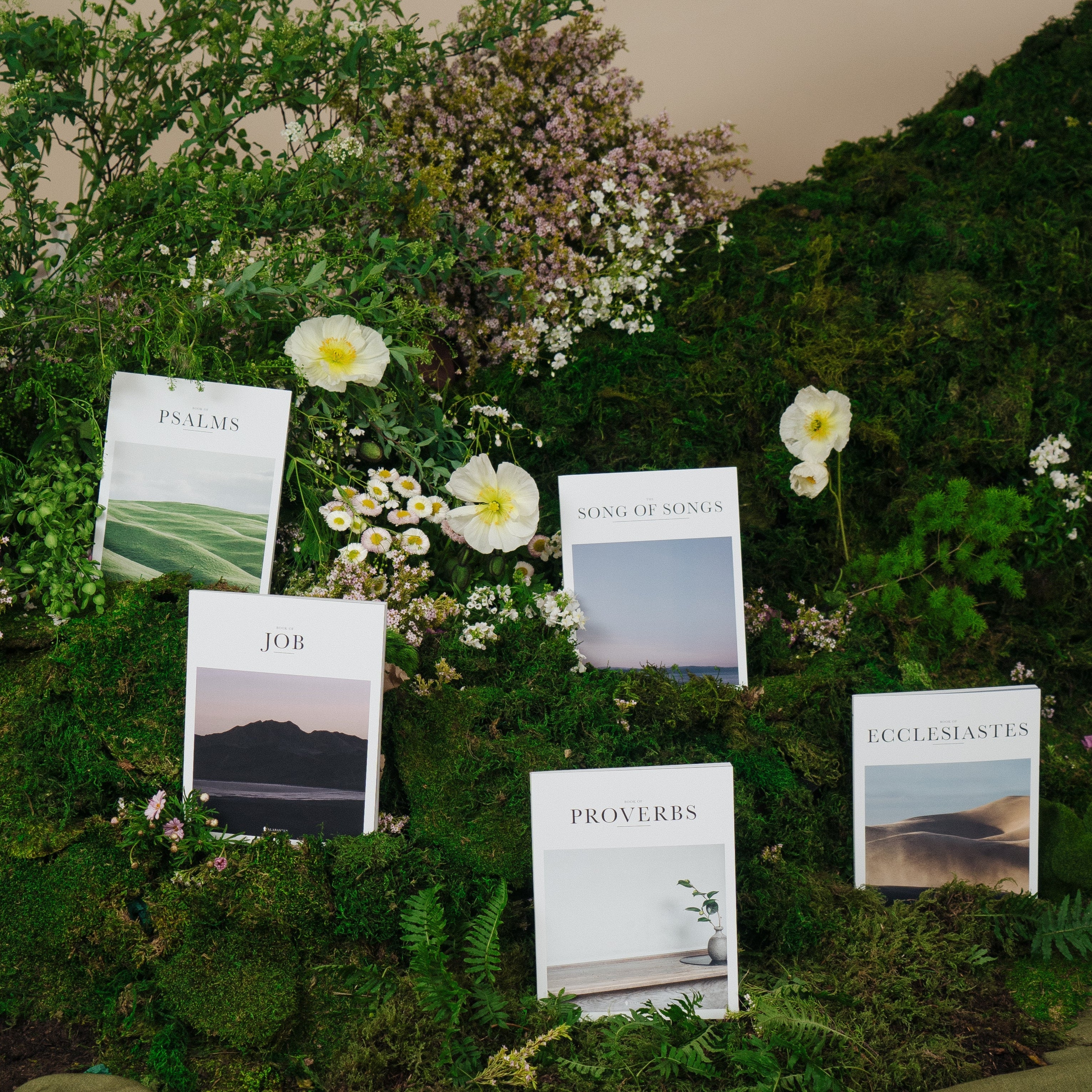 Experience Beautiful Christian Bibles and Books | Alabaster Co