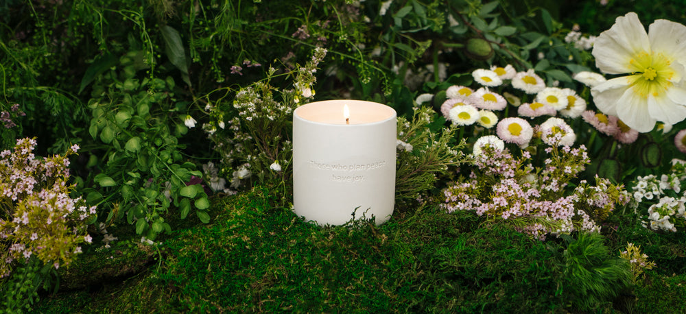 Home – Alabaster Co