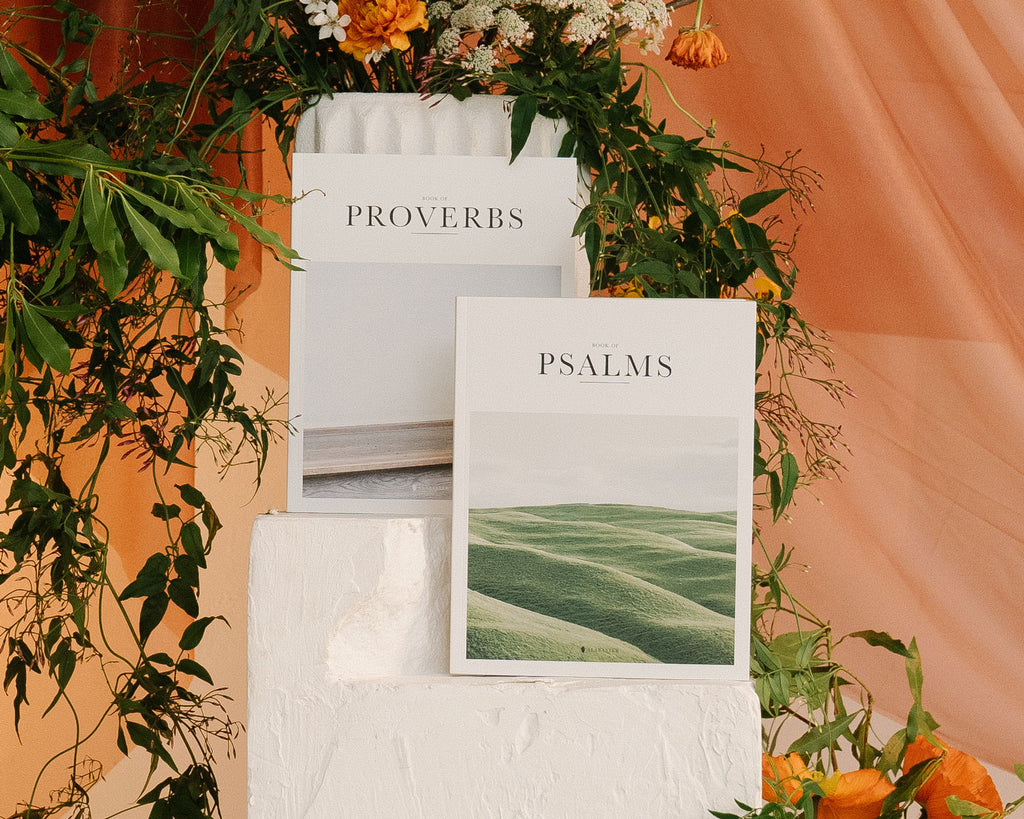 Experience Beautiful Christian Bibles and Books | Alabaster Co