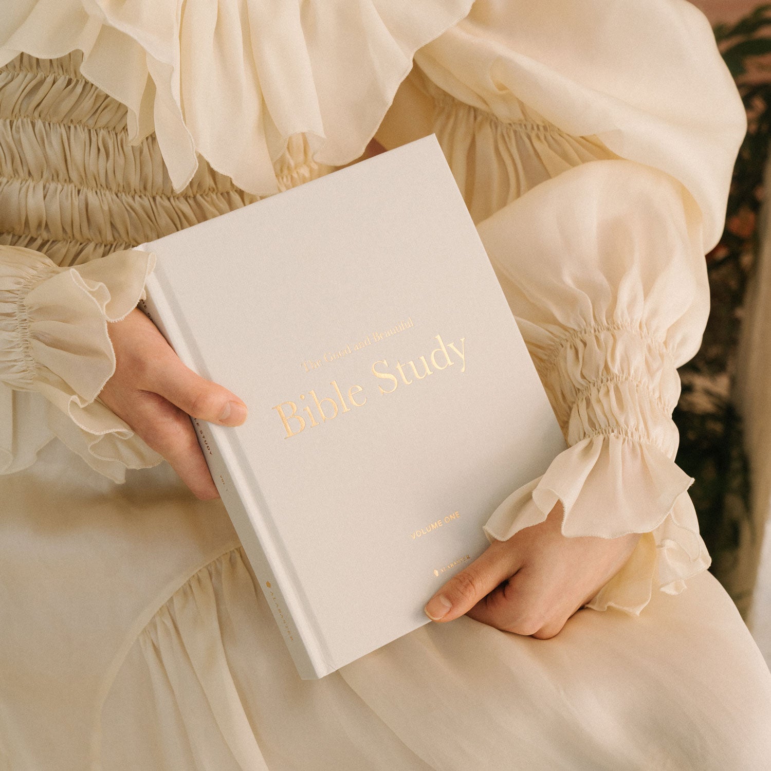 4 Best Bible Study Books to Start Your Bible Education – Alabaster Co