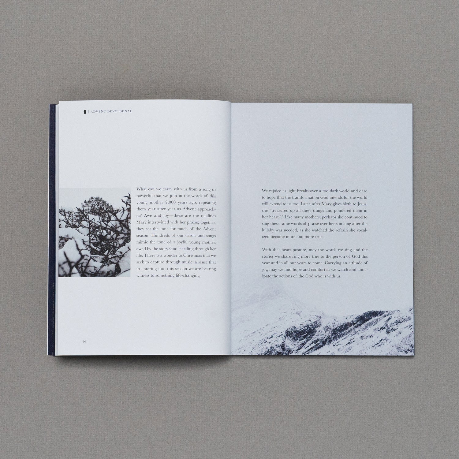 The Advent Devotional – Alabaster Co
