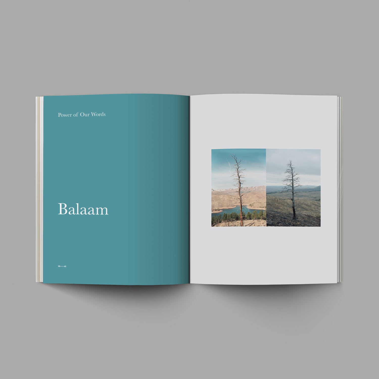 The Good and Beautiful Bible Study - Volume 2 – Alabaster