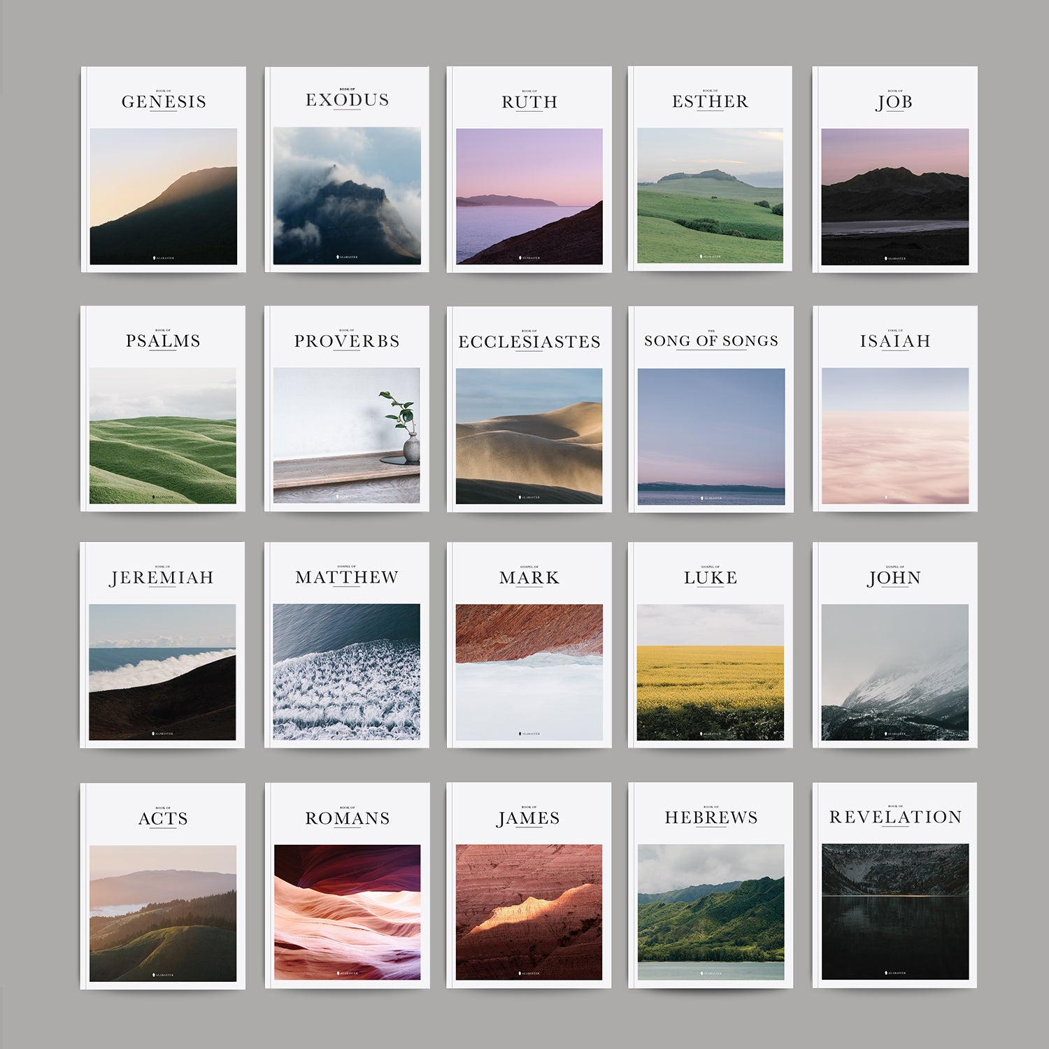 The Complete Bible Collection | Alabaster Co