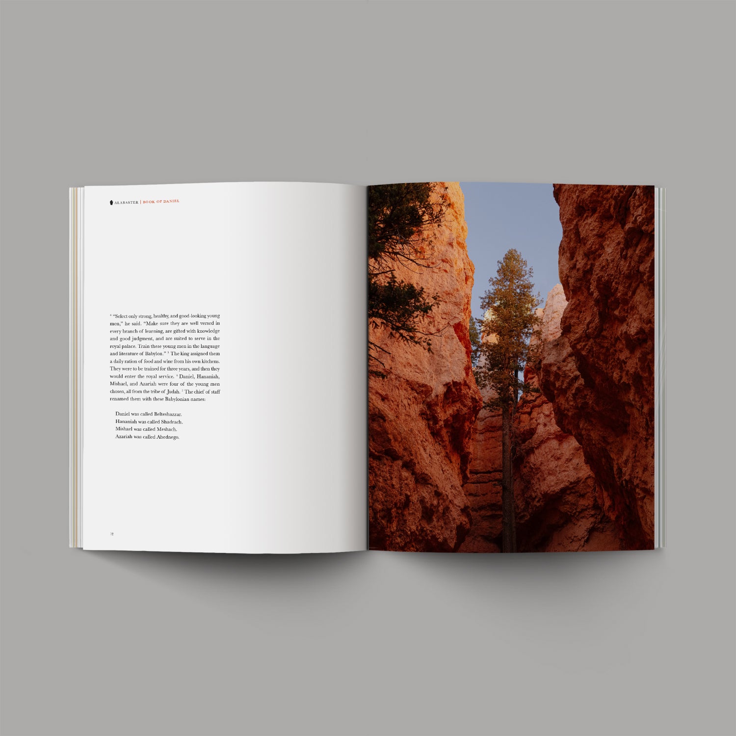 The Book of Daniel | Alabaster Co