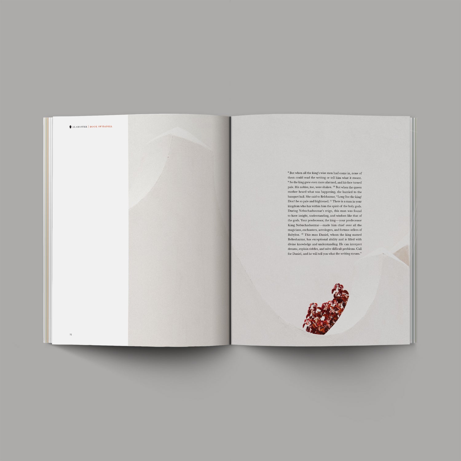 The Book of Daniel | Alabaster Co