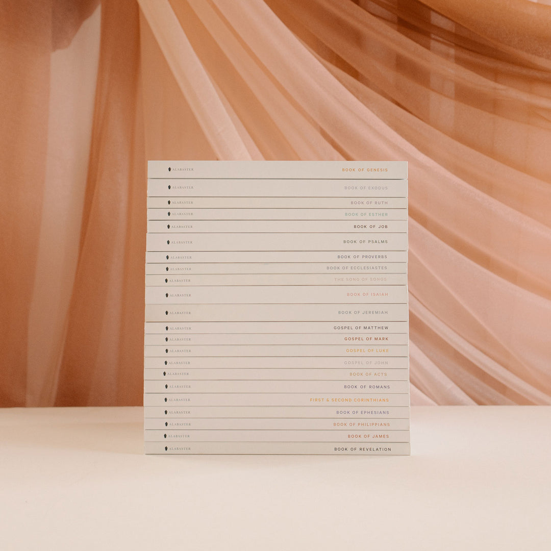 Shop | Alabaster Co