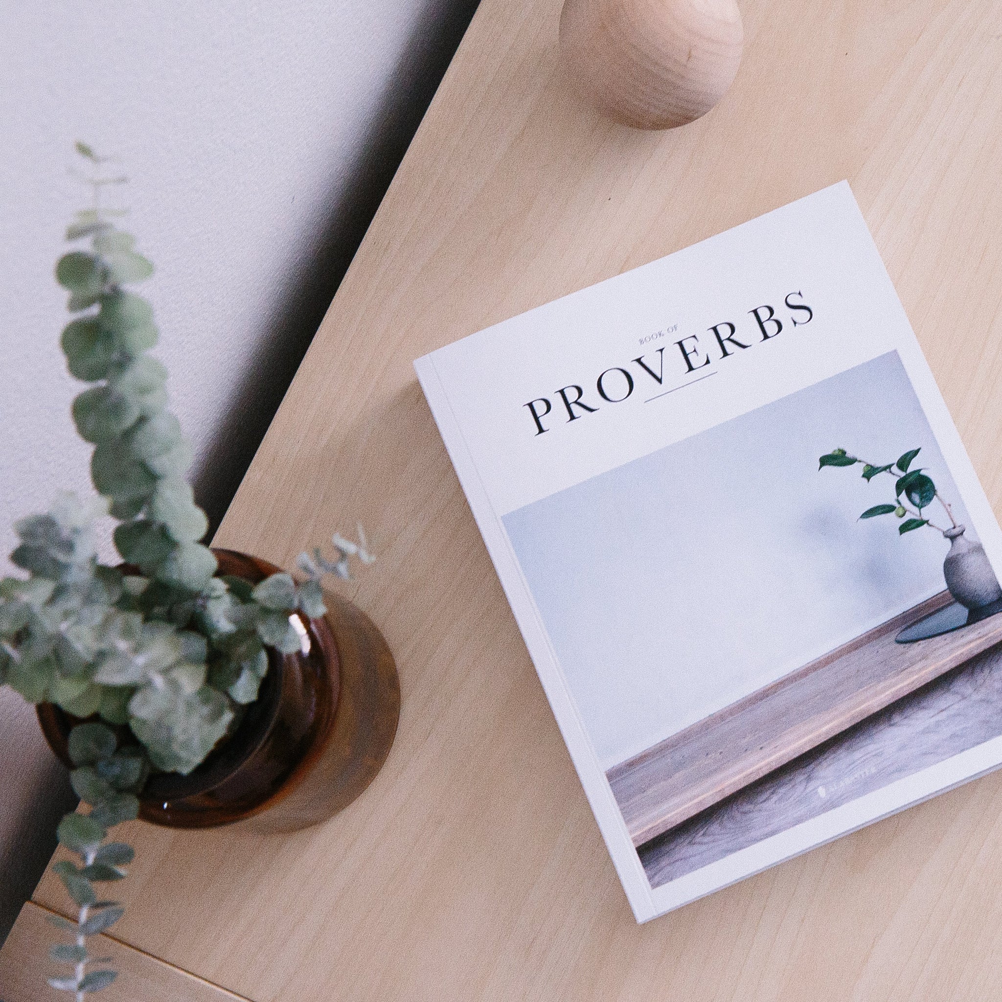The Book of Proverbs | NLT Bible | Alabaster Co