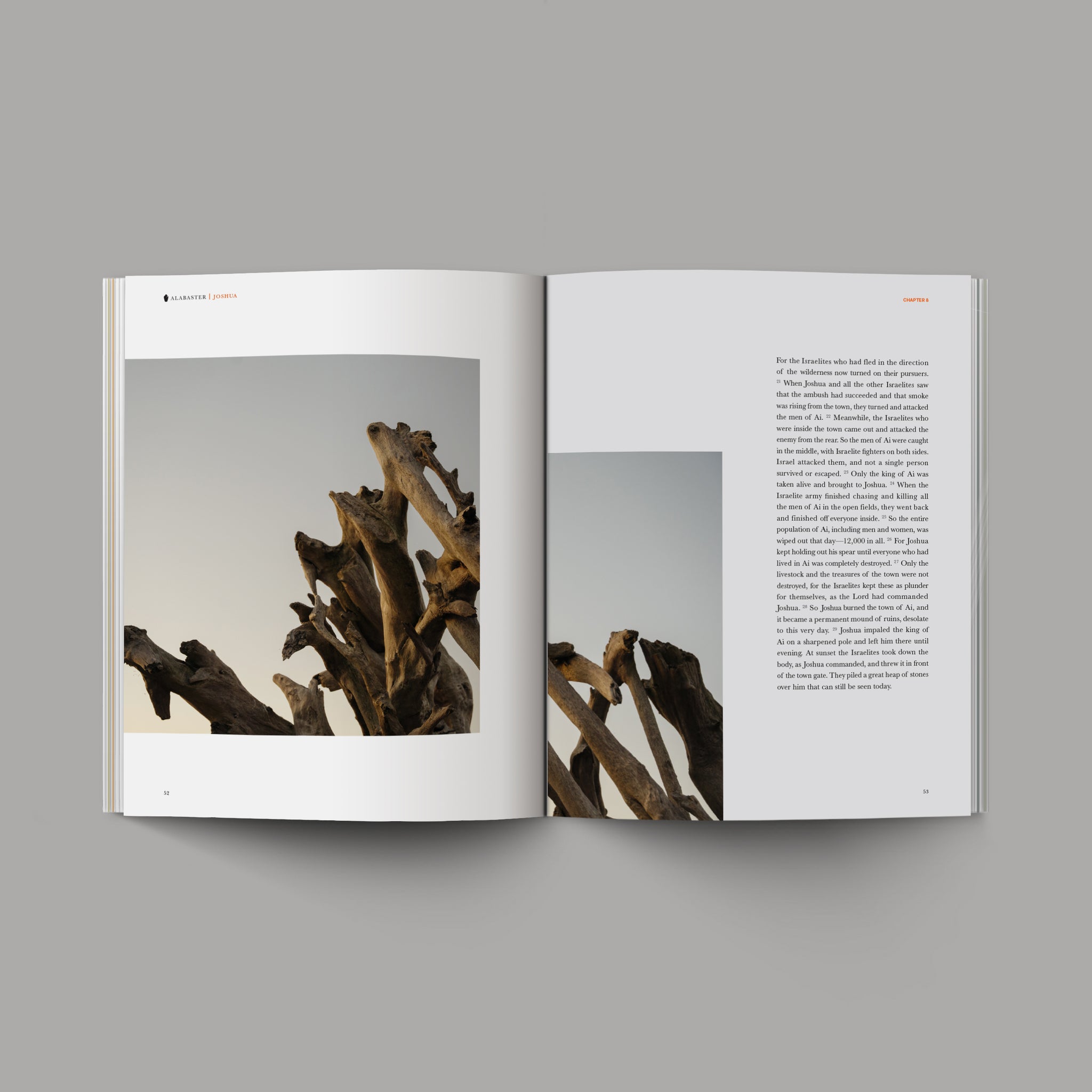 The Book of Joshua – Alabaster