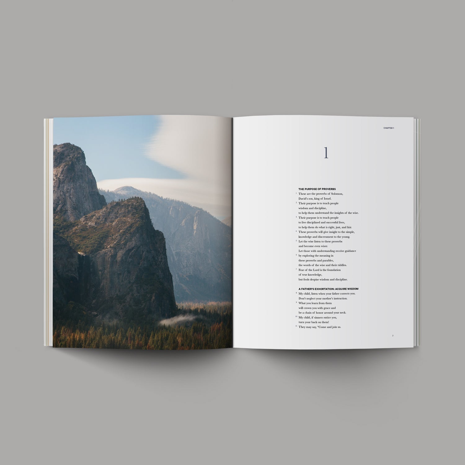 The Book of Proverbs | NLT Bible | Alabaster Co
