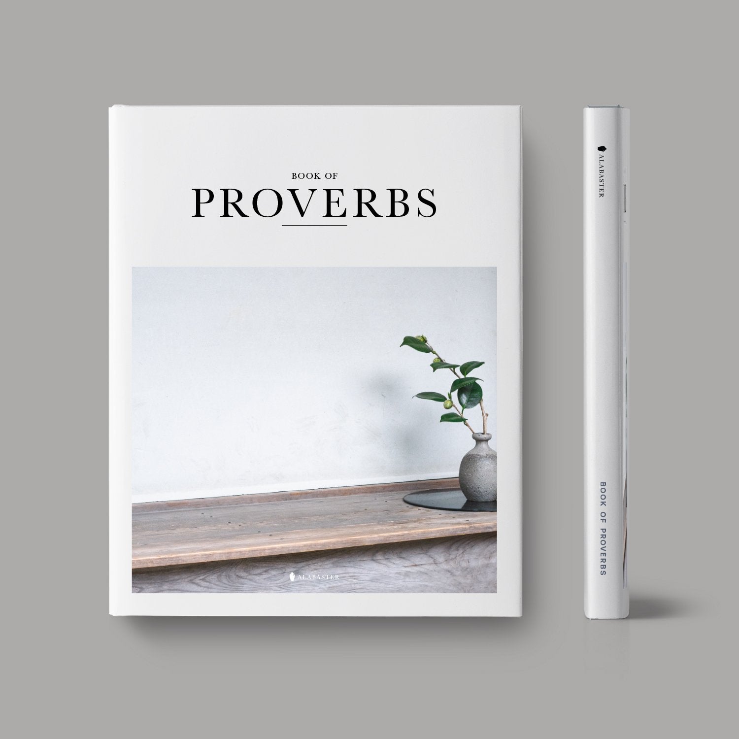 The Book of Proverbs | NLT Bible | Alabaster Co