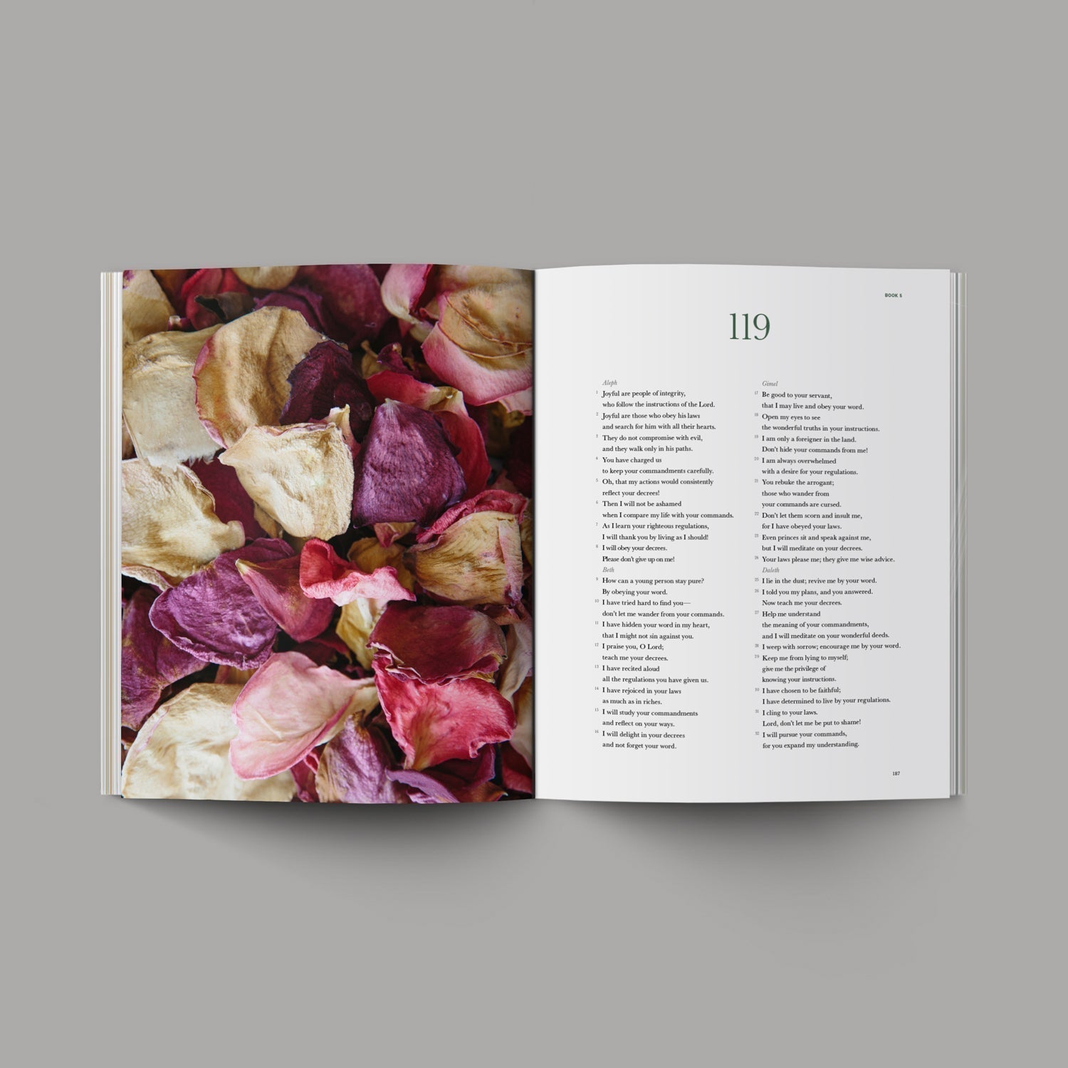 The Complete Bible Collection – Alabaster Co