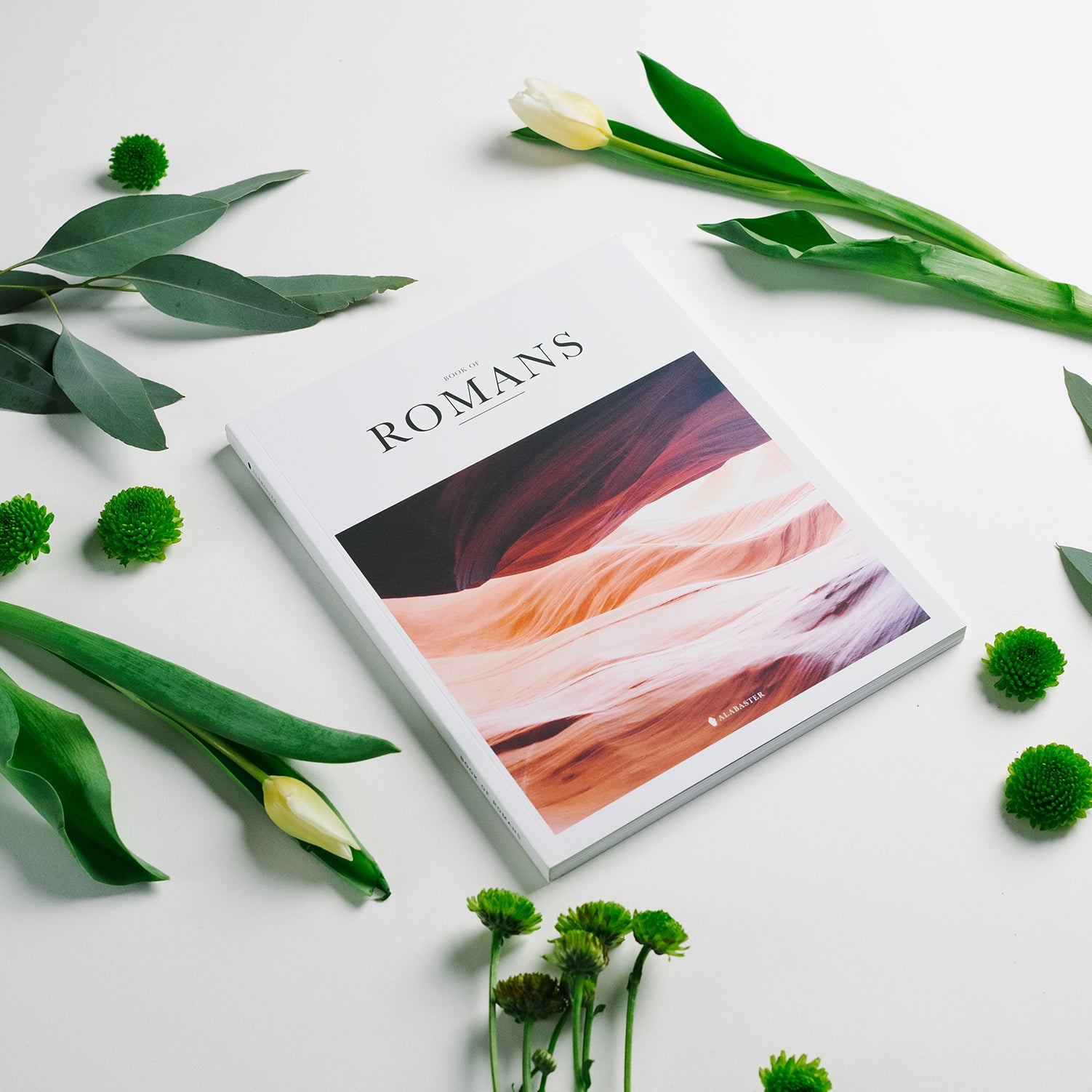 The Book of Romans - Letter Epistle | Alabaster Co