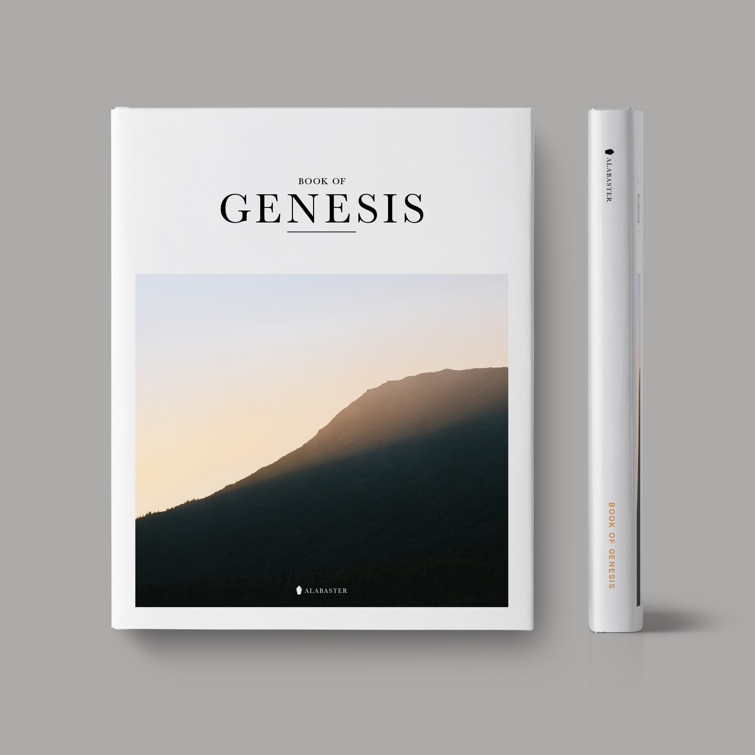 The Book Genesis | NLT Bible Version | Alabaster Co