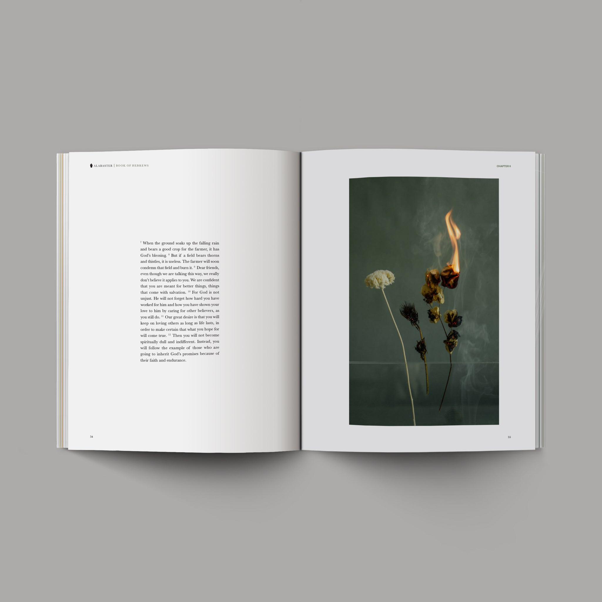 The Book of Hebrews – Alabaster