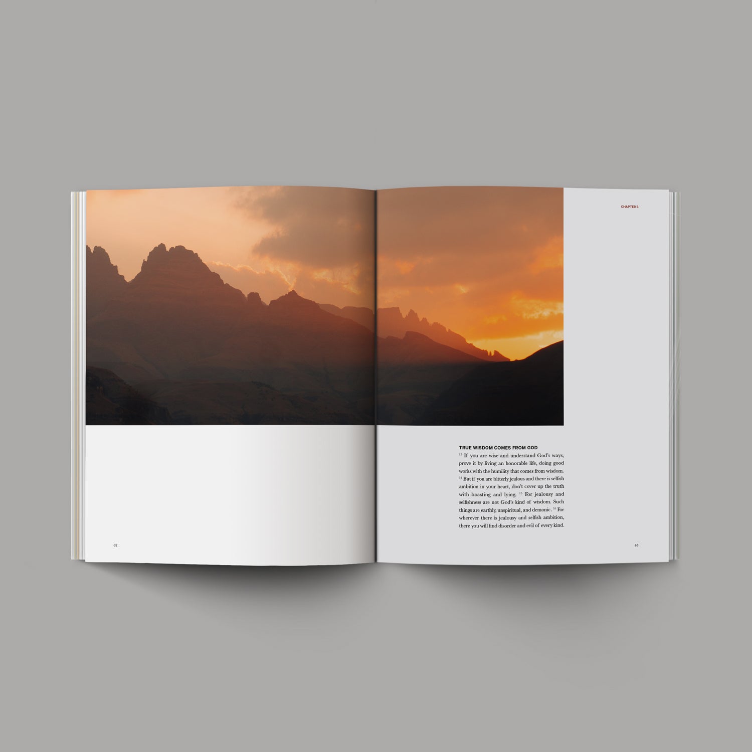 The Book of James | Bible Epistle | Alabaster Co