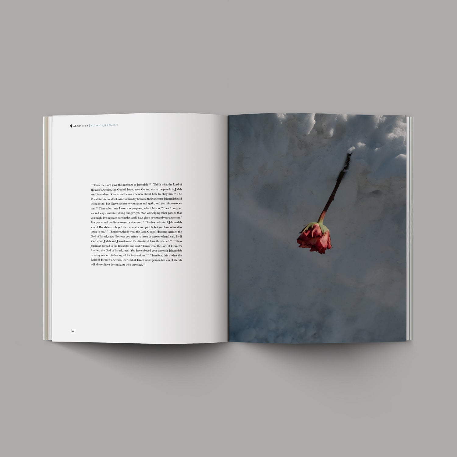 The Book of Jeremiah | Bible Old Testament Prophet | Alabaster Co