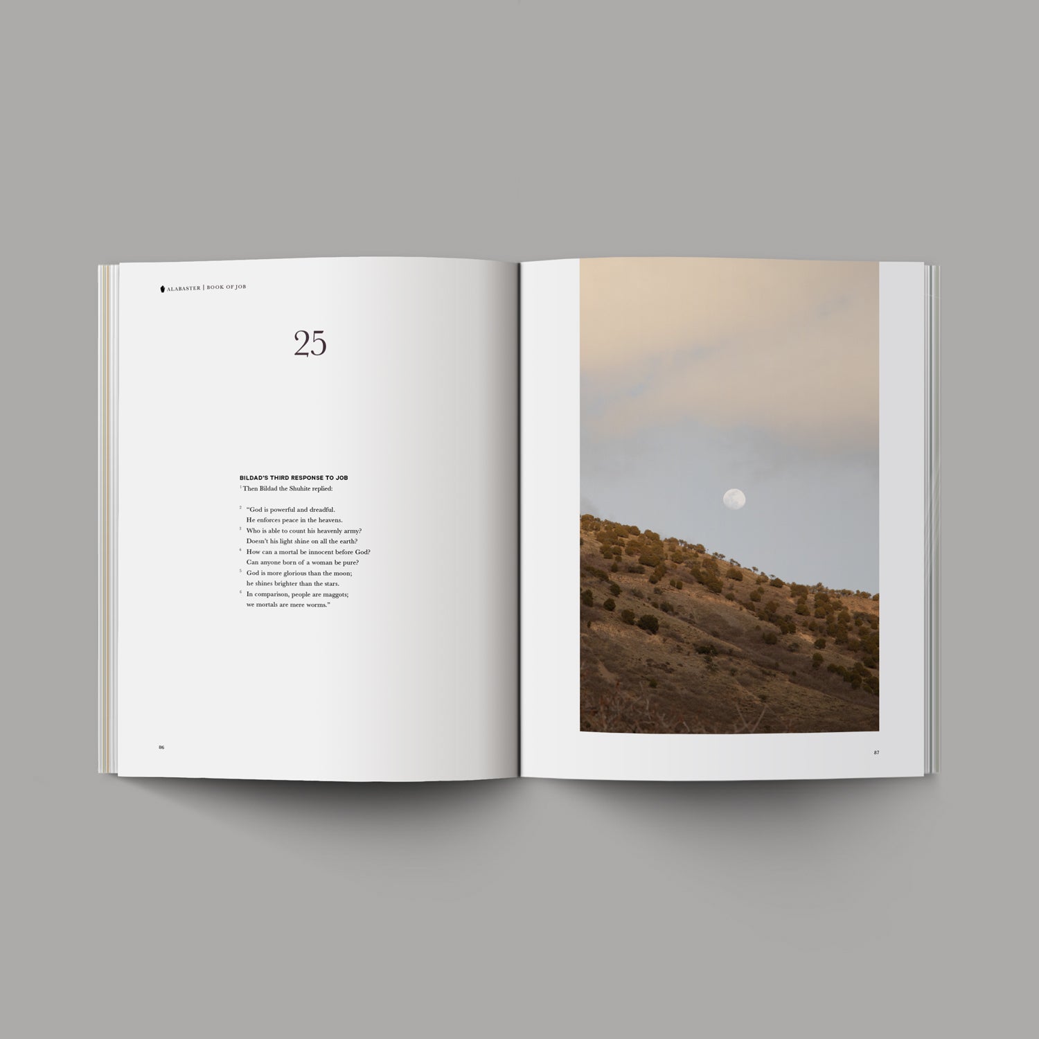 The Book of Job | Bible Old Testament | Alabaster Co