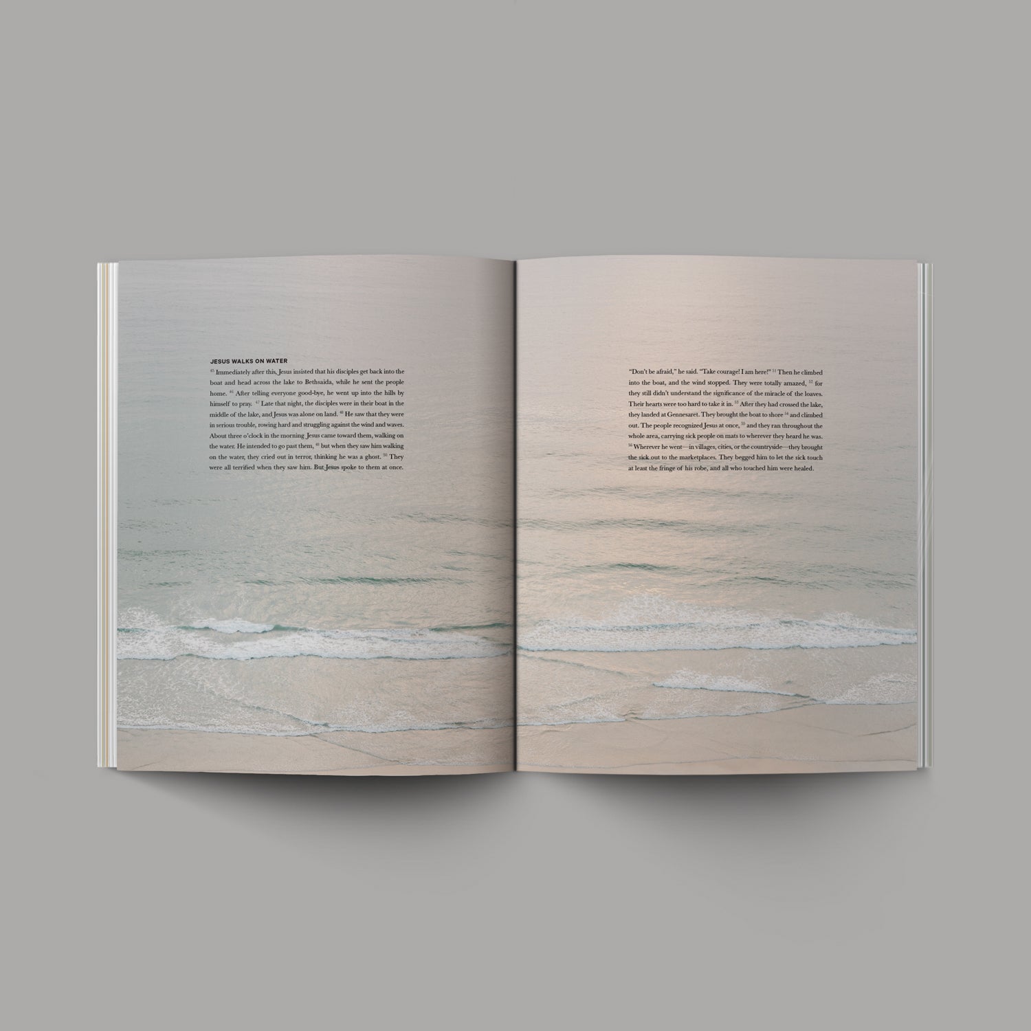 The Gospel of Mark | NLT Bible Translation Book | Alabaster Co