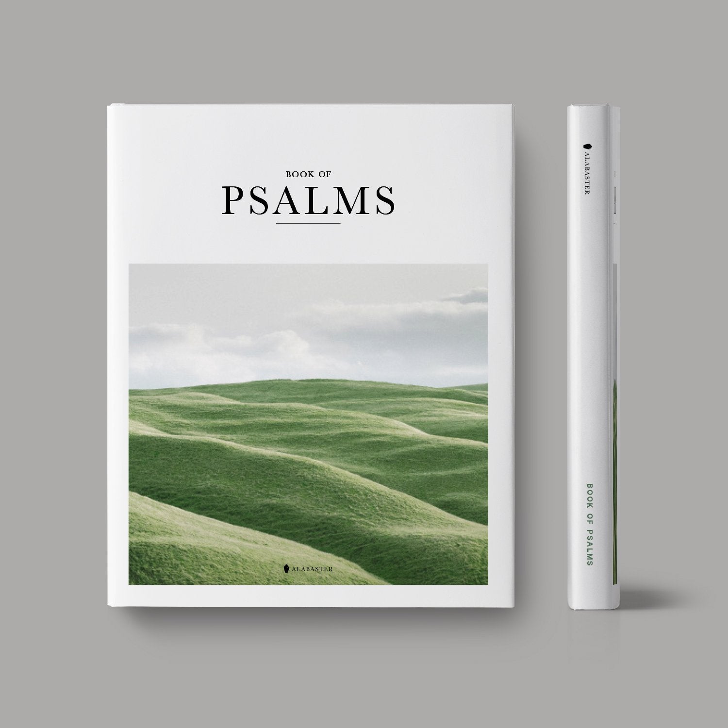 The Book of Psalms | NLT, KJV and Spanish NTV Bible | Alabaster Co