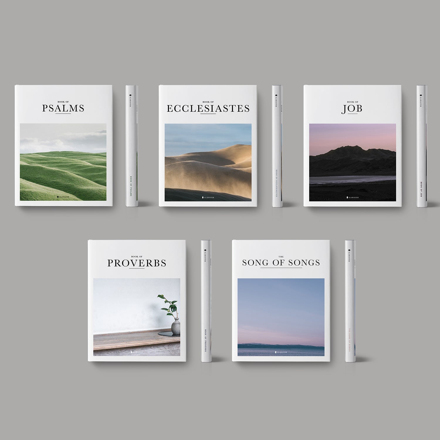 Wisdom Books of the Bible | Alabaster Co